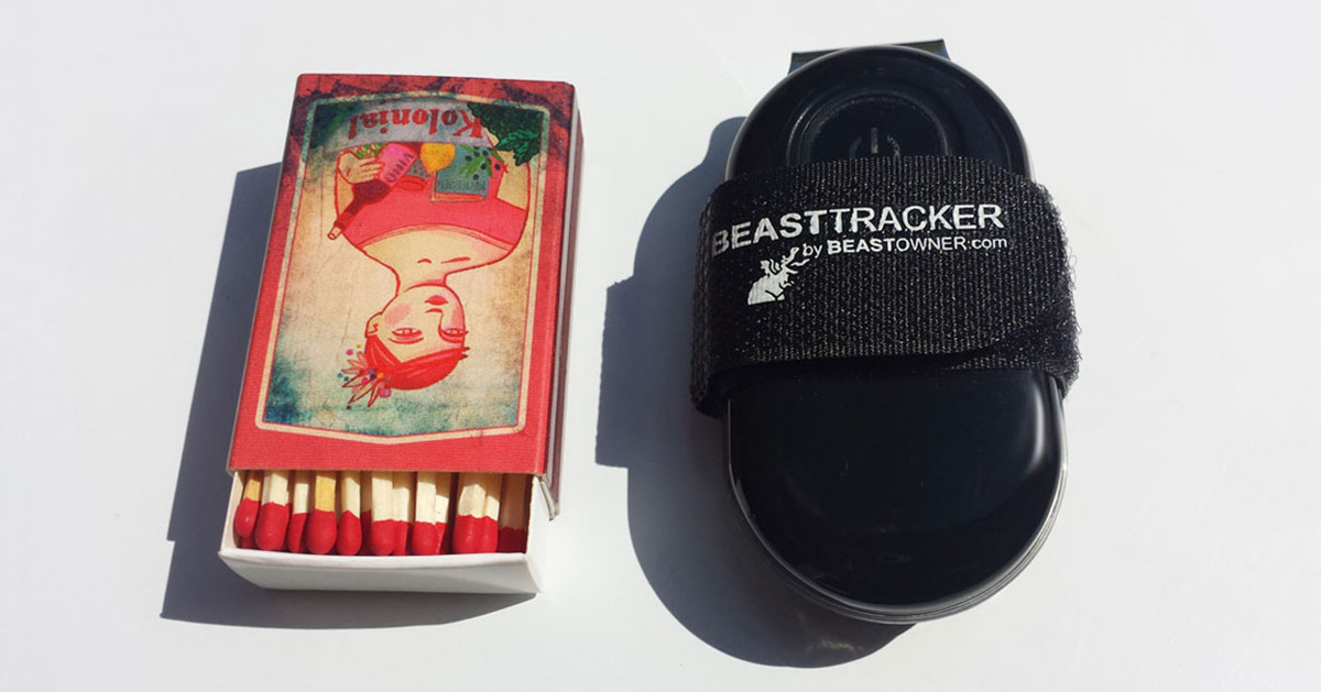 WavePointer - Inside