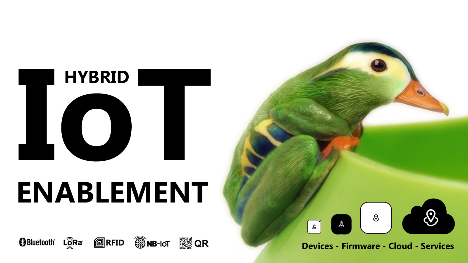 WavePointer - Products